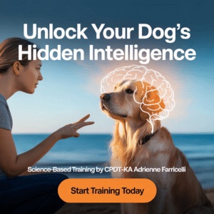 15 AI Dog Toys for Enrichment & Mental Stimulation